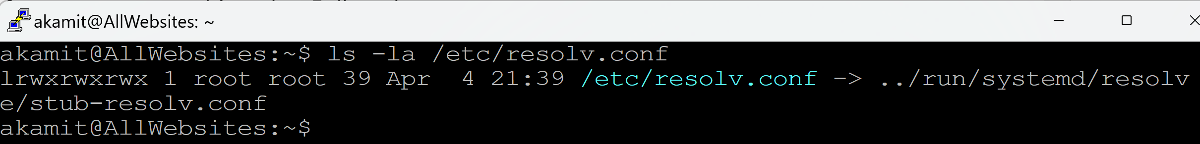 Temporary failure in name resolution in DNS lookup - Code Example
