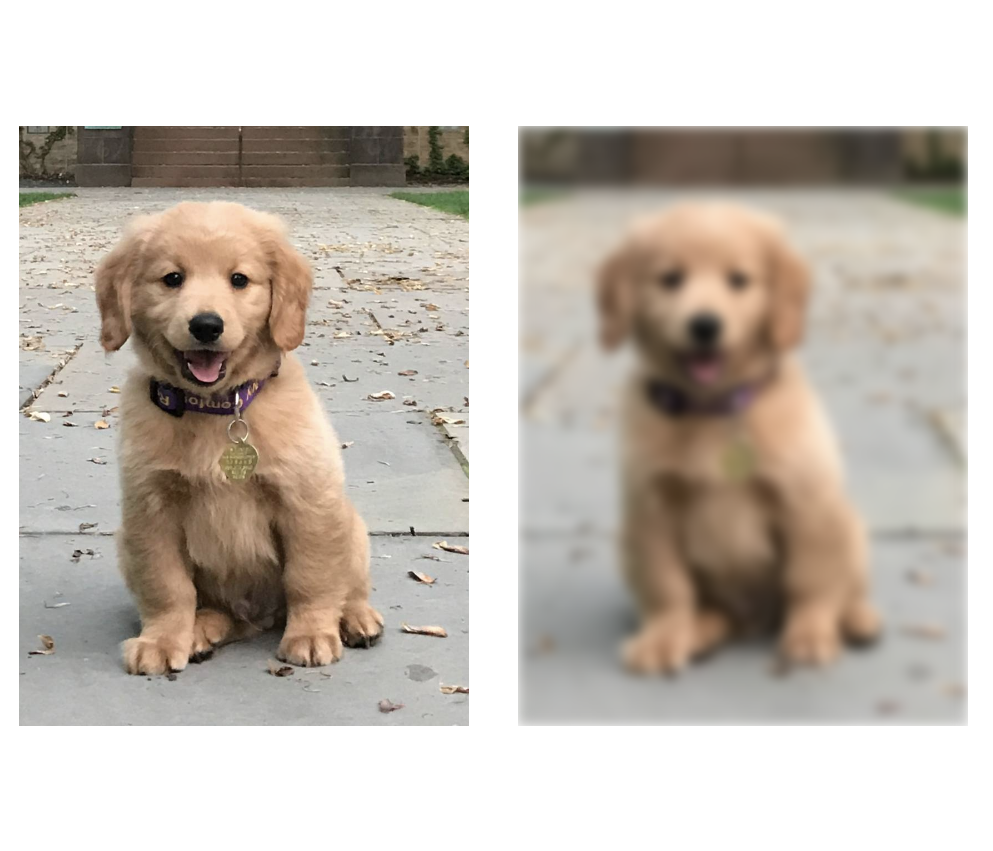 How To Blur An Image In React Native Code Example
